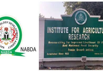 New ABU Transcript Request Platform: How To Process ABU Transcript In ...